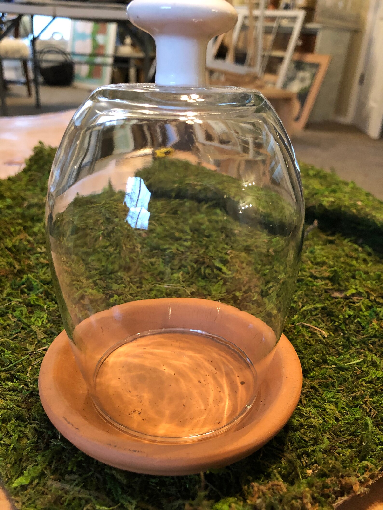 Glass Globe Cloche - Etsy