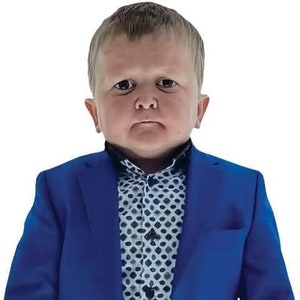 Hasbulla Magomedov Aka mini Khabib Cardboard Model Cut Out - Etsy