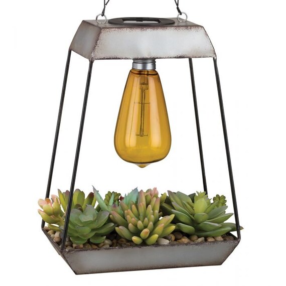 Edison Succulent Solar Lantern Pyramid - Etsy