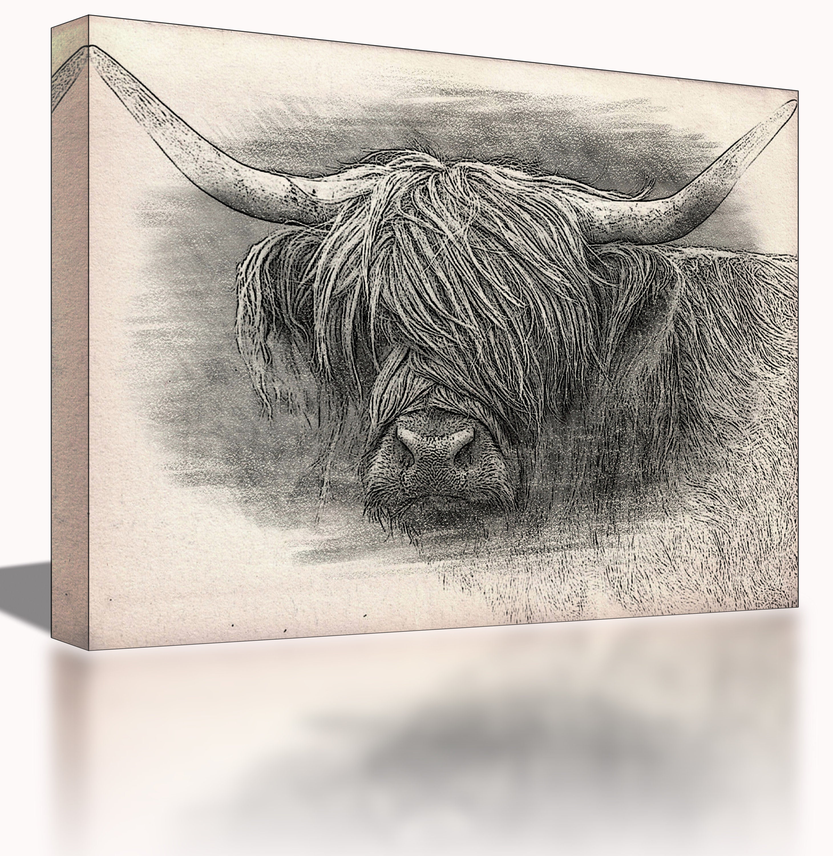Cow Pencil Drawing