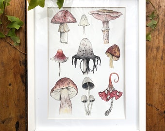 Funghi Art - Etsy UK