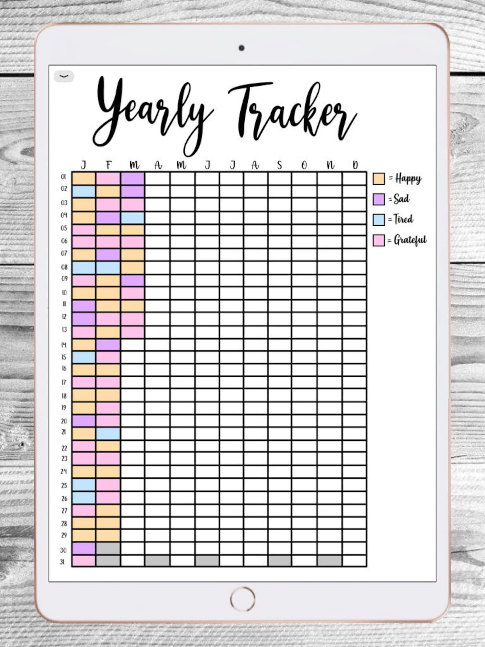 PRINTABLE/DIGITAL Yearly Tracker Insert - Etsy