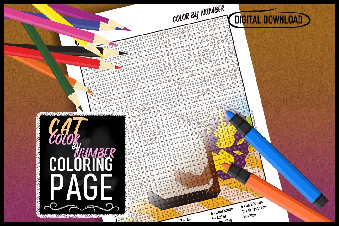 Cat Color by Number Digital Coloring Page Printable - Etsy