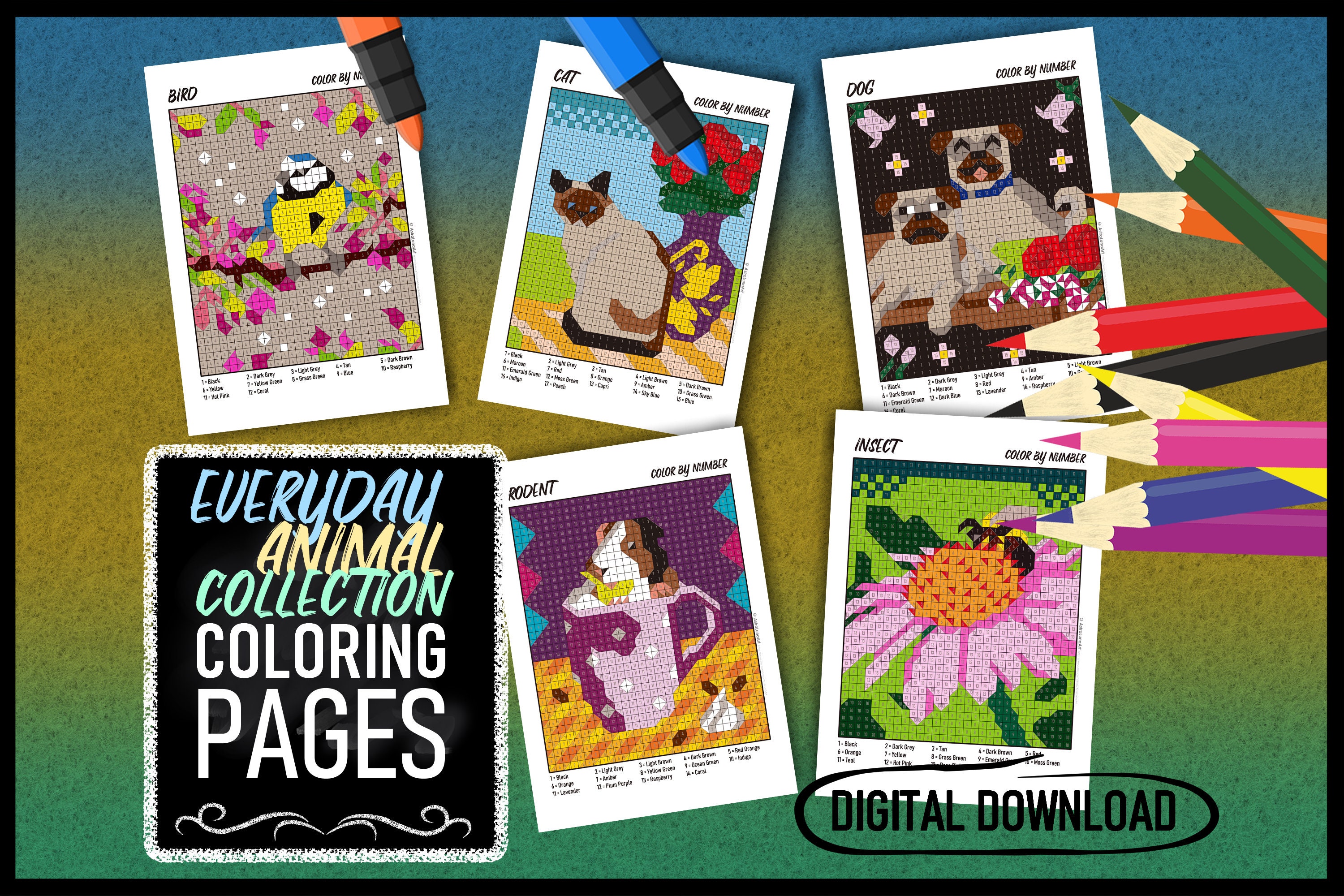 Everyday Animal Collection Color by Number Coloring Page - Etsy