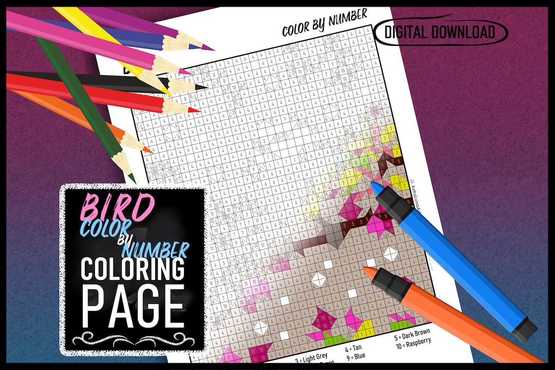 Bird Color by Number, Digital Coloring Page, Printable, All-ages ...