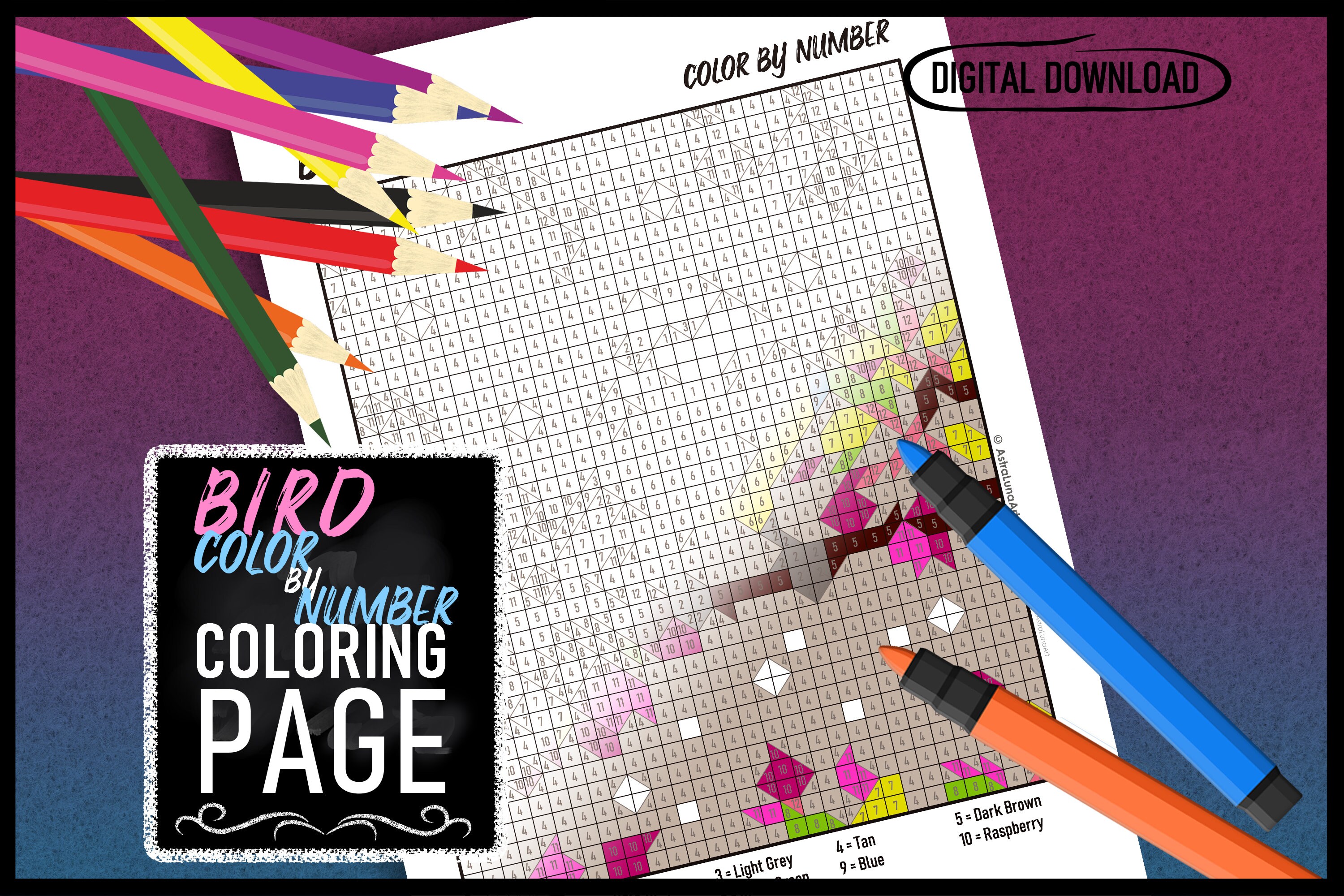 Bird Color by Number, Digital Coloring Page, Printable, All-ages ...