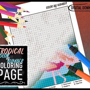 Tropical Color by Number Digital Coloring Page Printable - Etsy