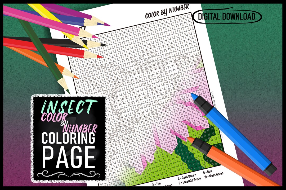 Insect Color by Number, Digital Coloring Page, Printable, All-ages ...