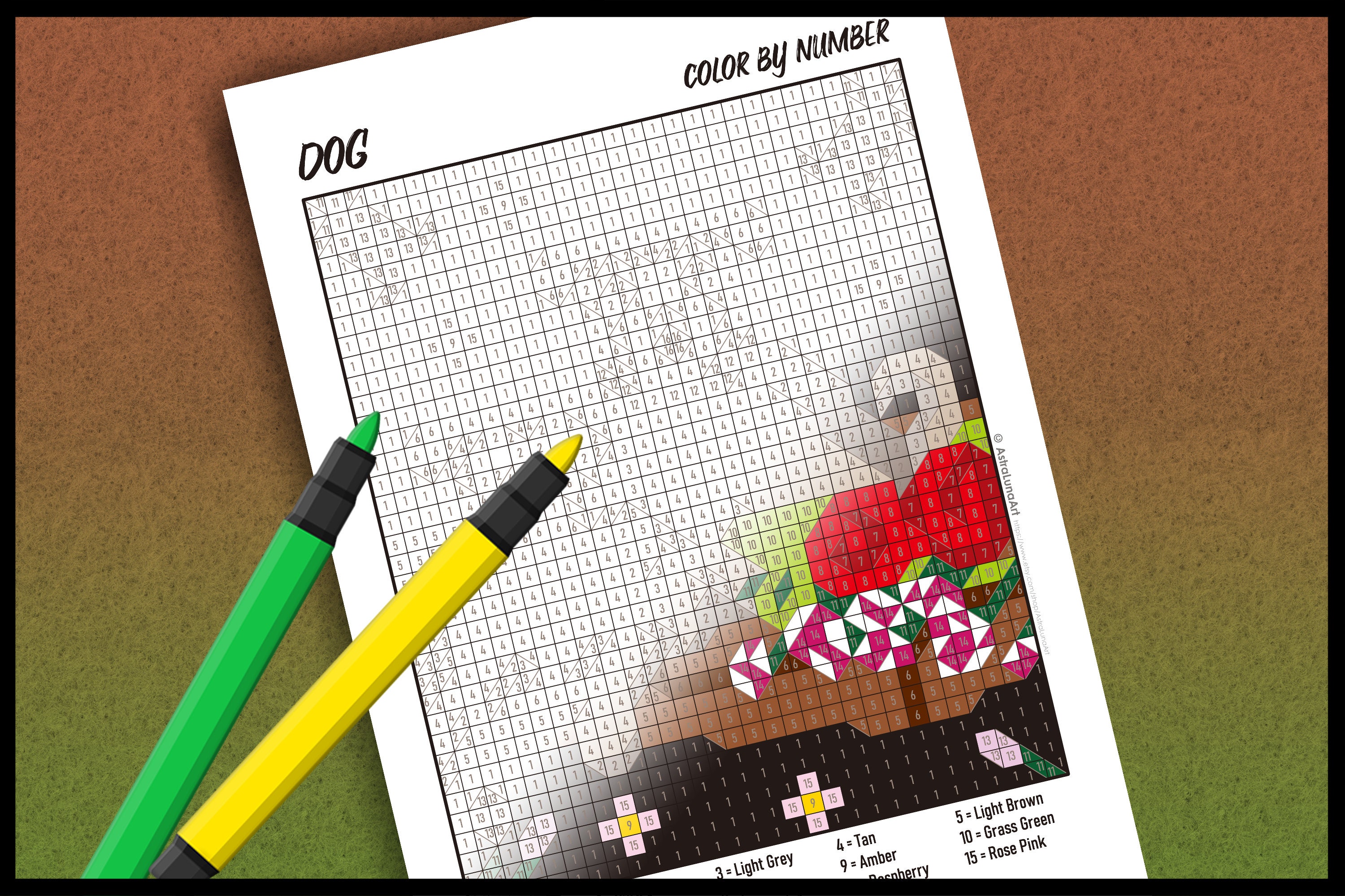 Everyday Animal Collection Color by Number, Coloring Page, Home ...