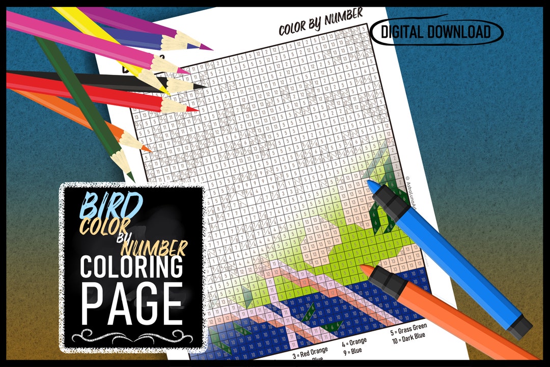 Bird Color by Number, Digital Coloring Page, Printable, All-ages ...
