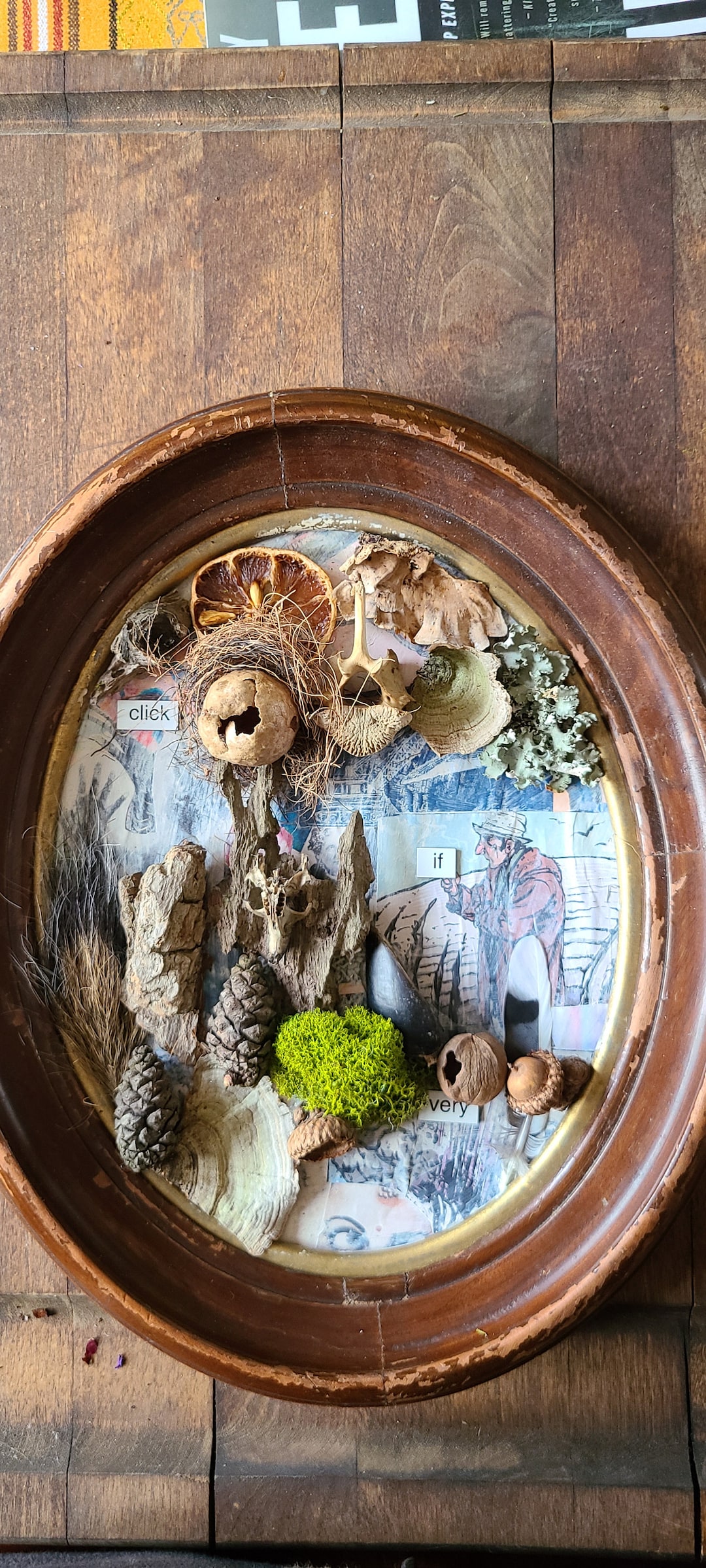 Foraged Collage Art in Antique Oval Frame - Etsy