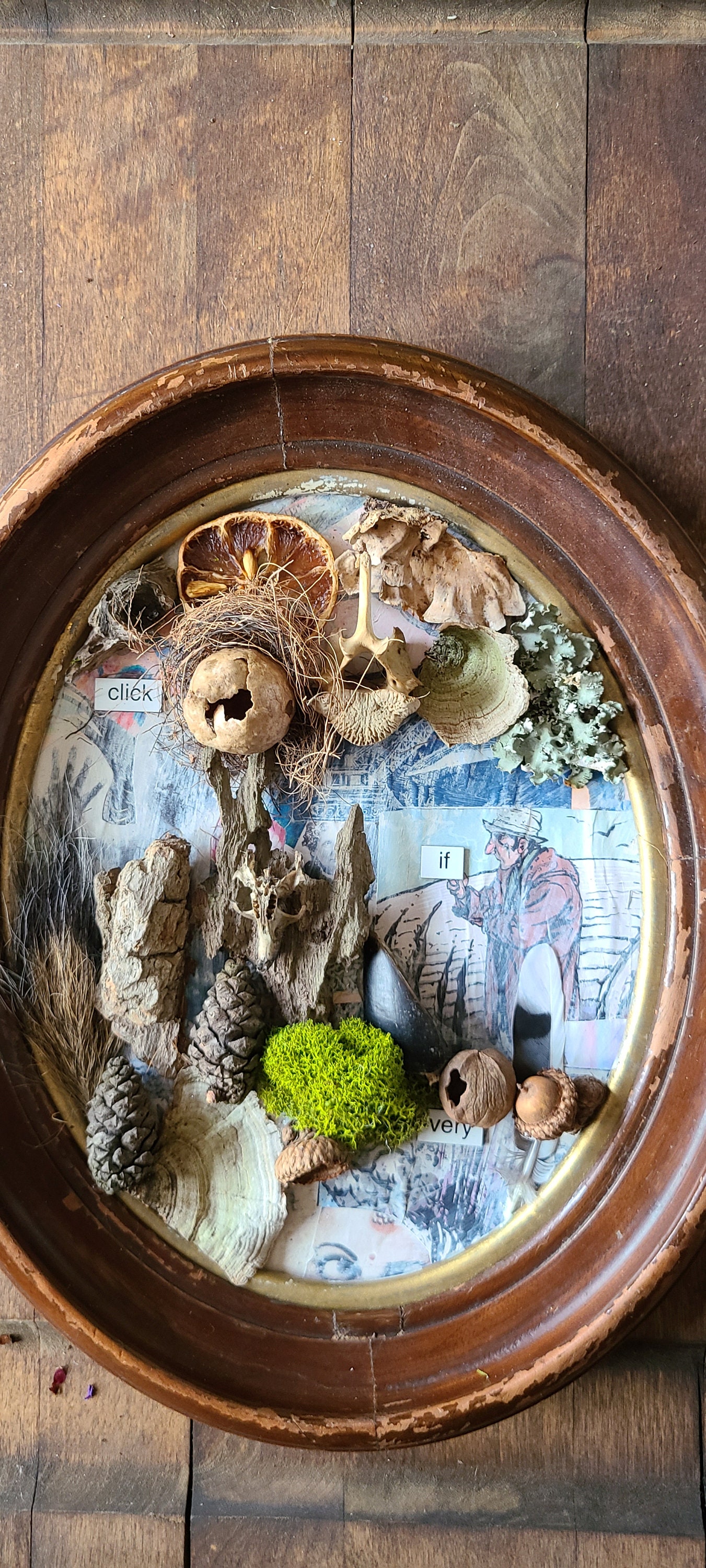 Foraged Collage Art in Antique Oval Frame - Etsy