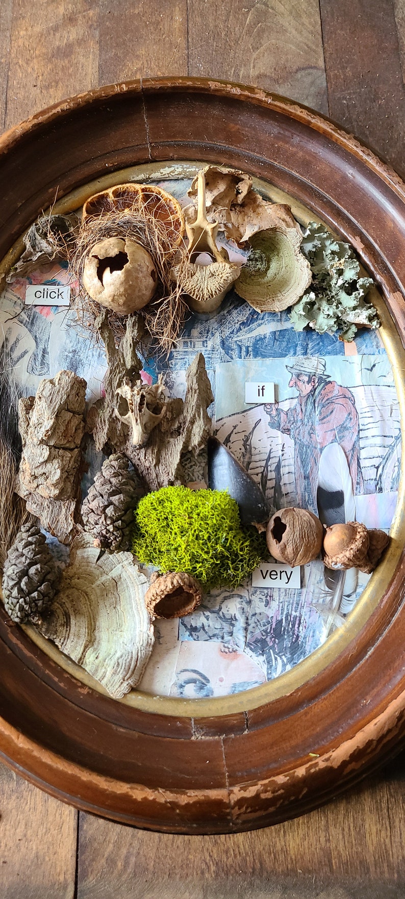 Foraged Collage Art in Antique Oval Frame - Etsy