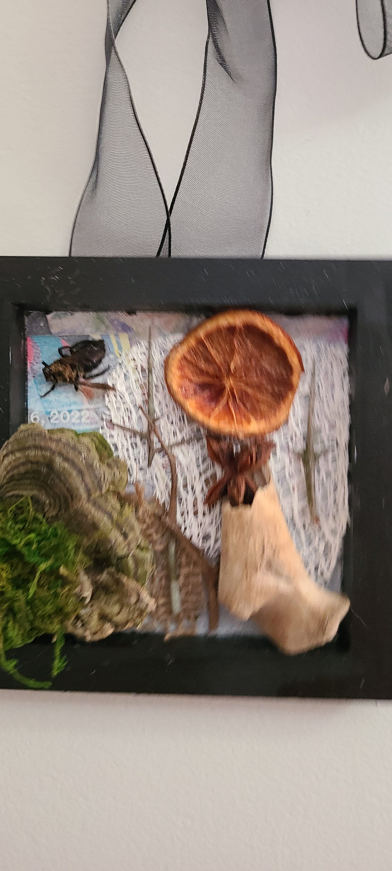 Nature Shadow Box - Etsy
