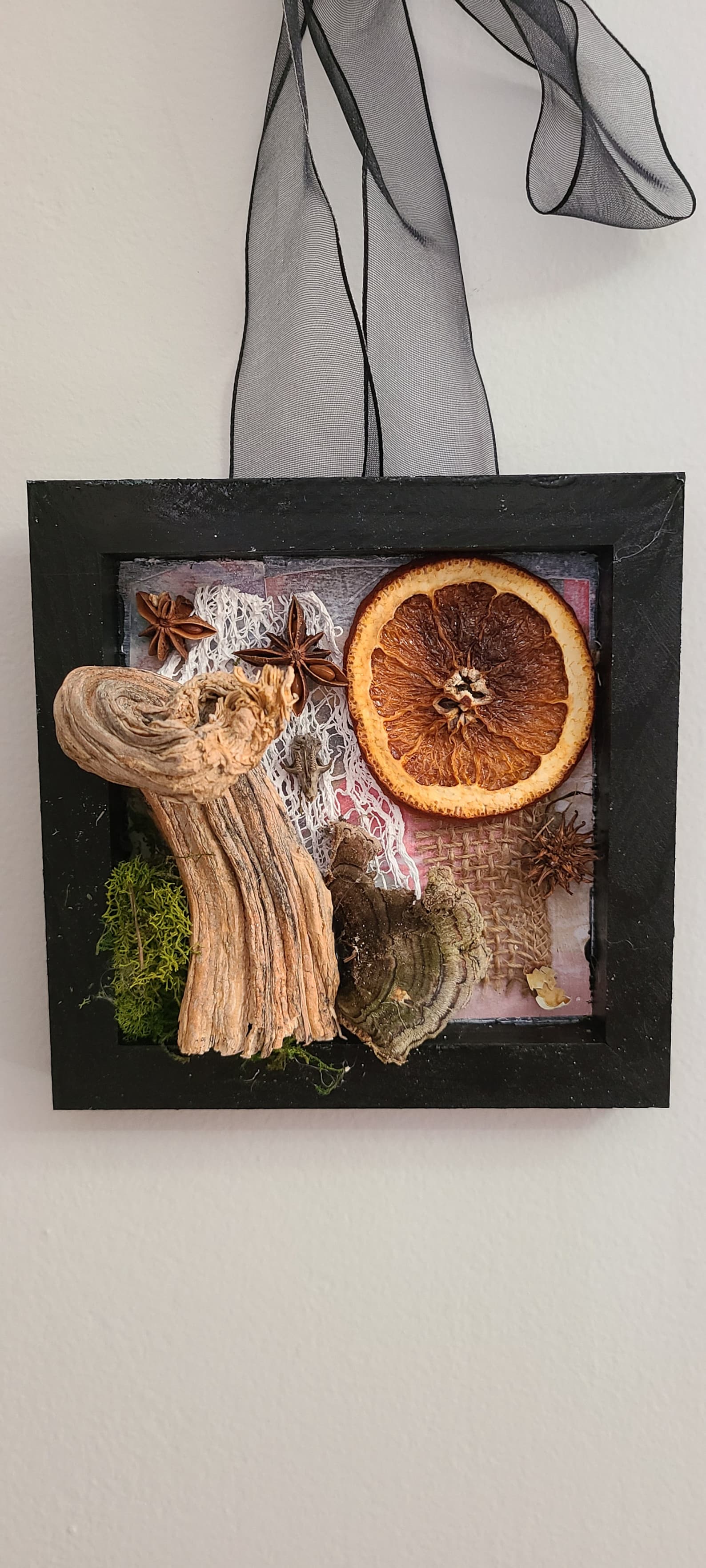 Nature Shadow Box - Etsy