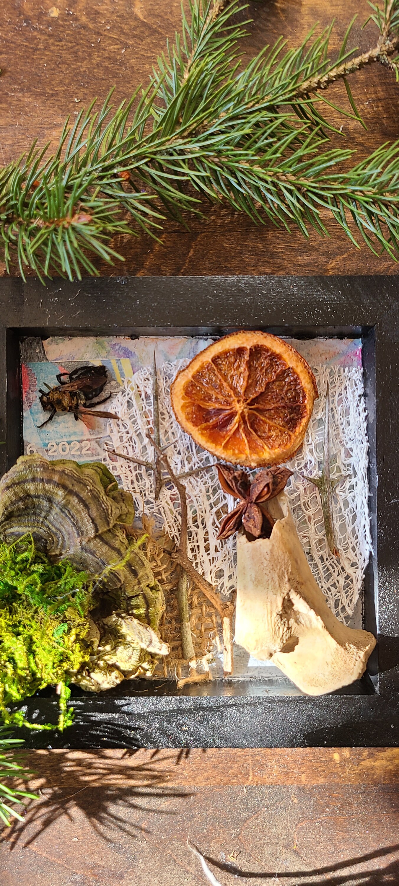 Nature Shadow Box - Etsy