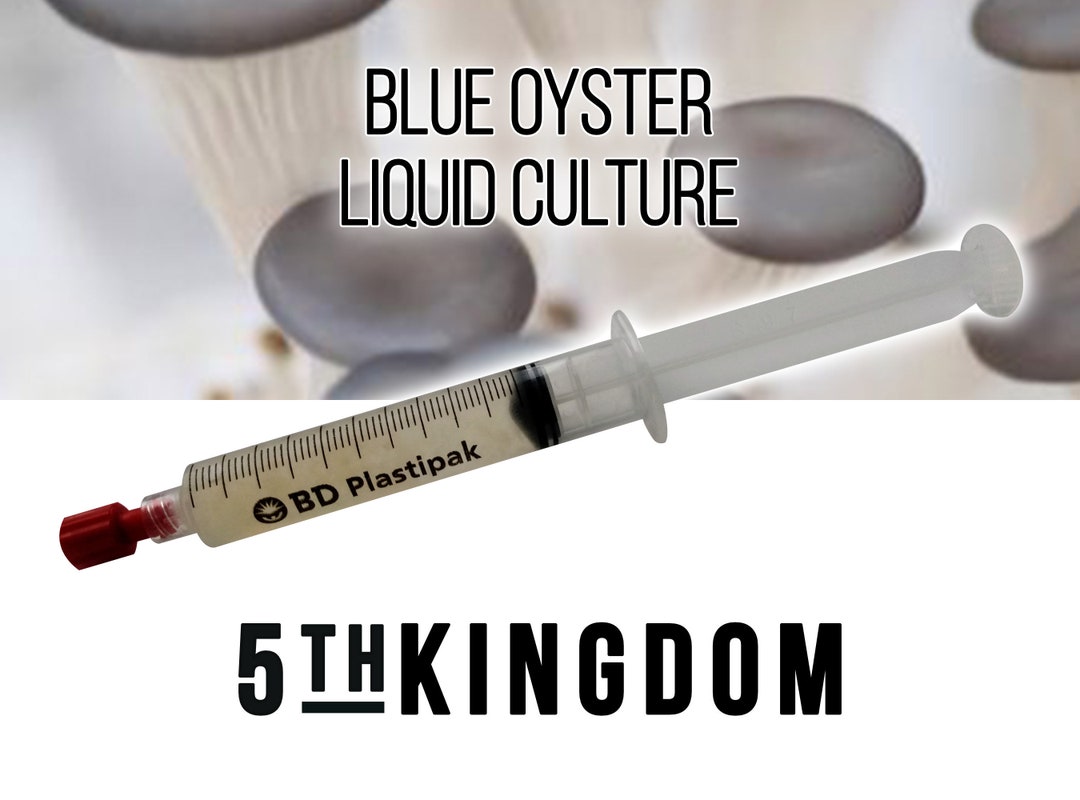 Blue Oyster Liquid Culture - Etsy