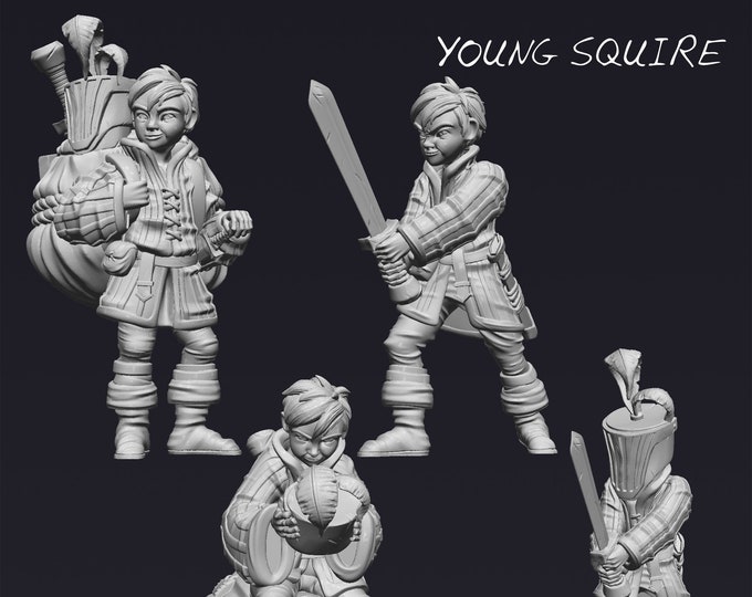Dnd Miniature Young Squire Miniature for Dungeons and Dragons Tabletop ...