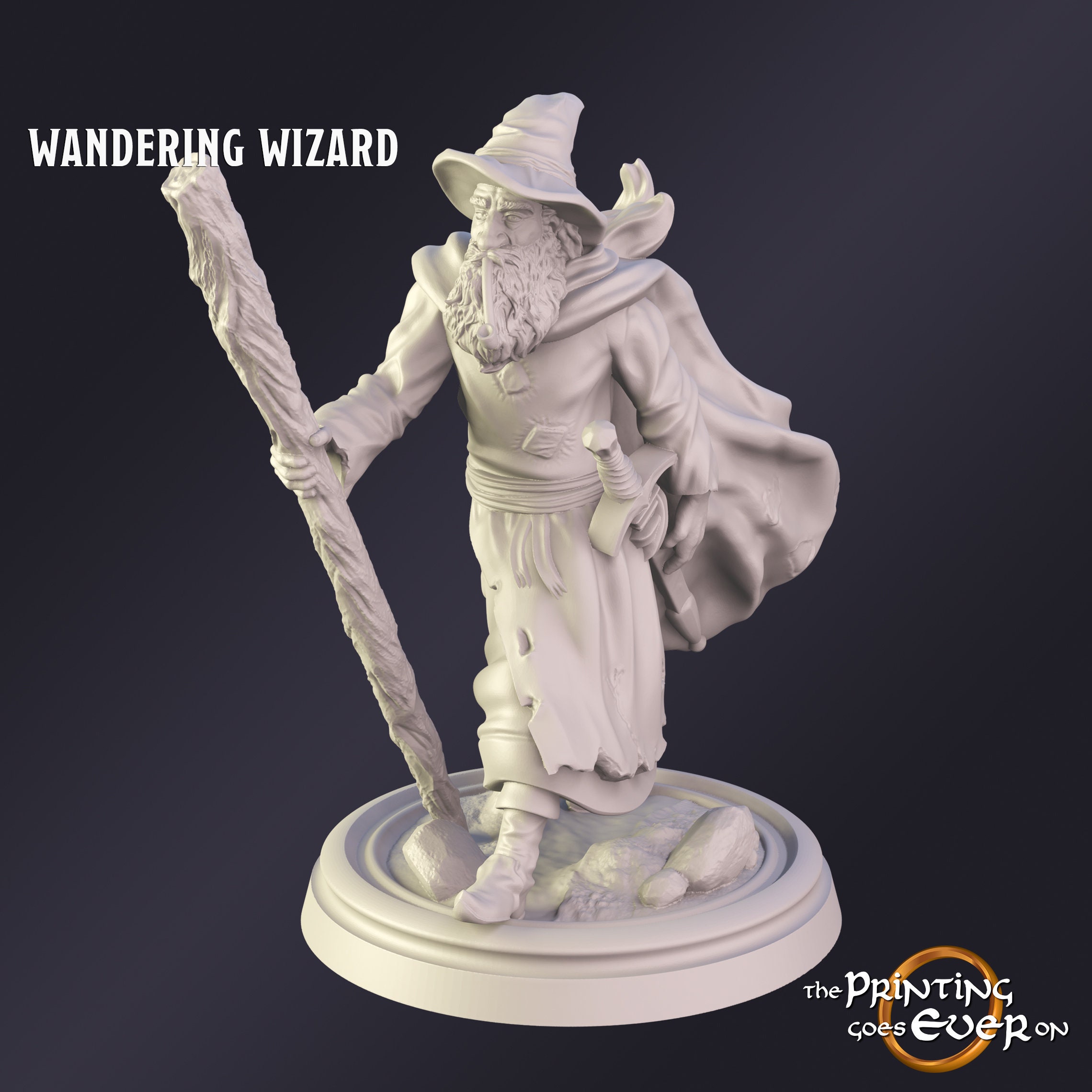 Wandering Wizard Tabletop Game miniature from The Printing Goes Ever On ...