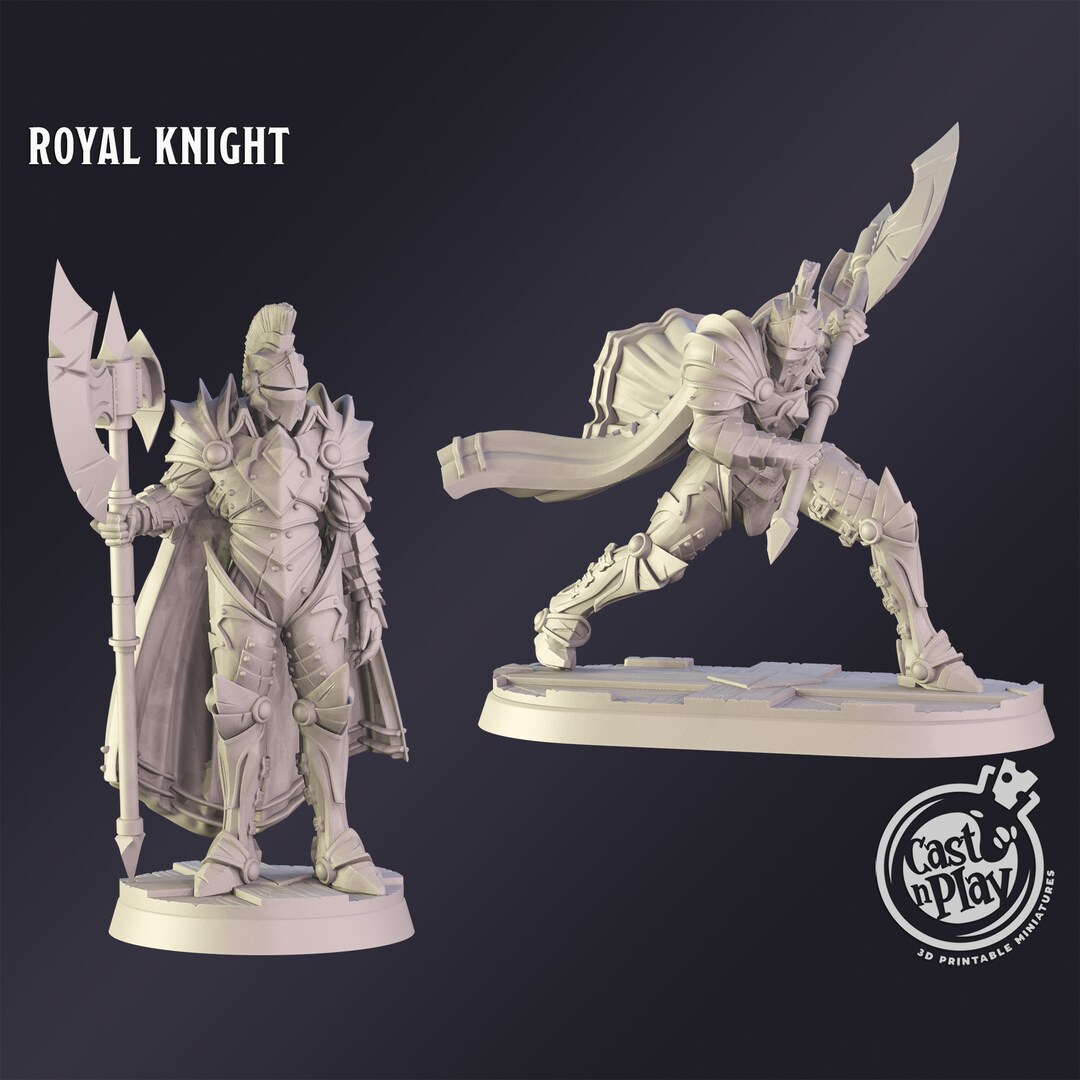 Dnd Miniature Royal Knight Miniature for Dungeons and Dragons Tabletop ...