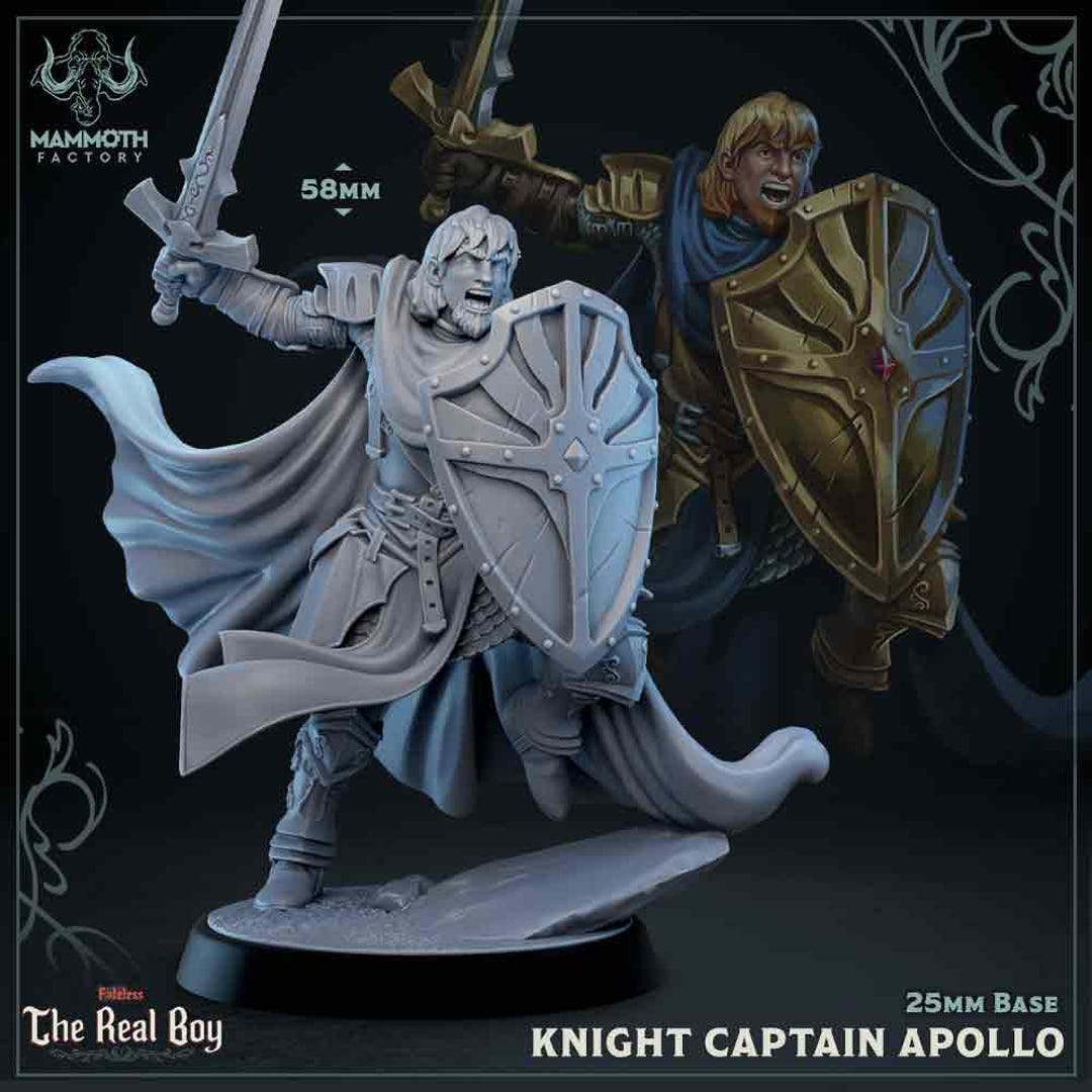 Dnd Miniature Knight Captain Miniature for Dungeons and Dragons ...