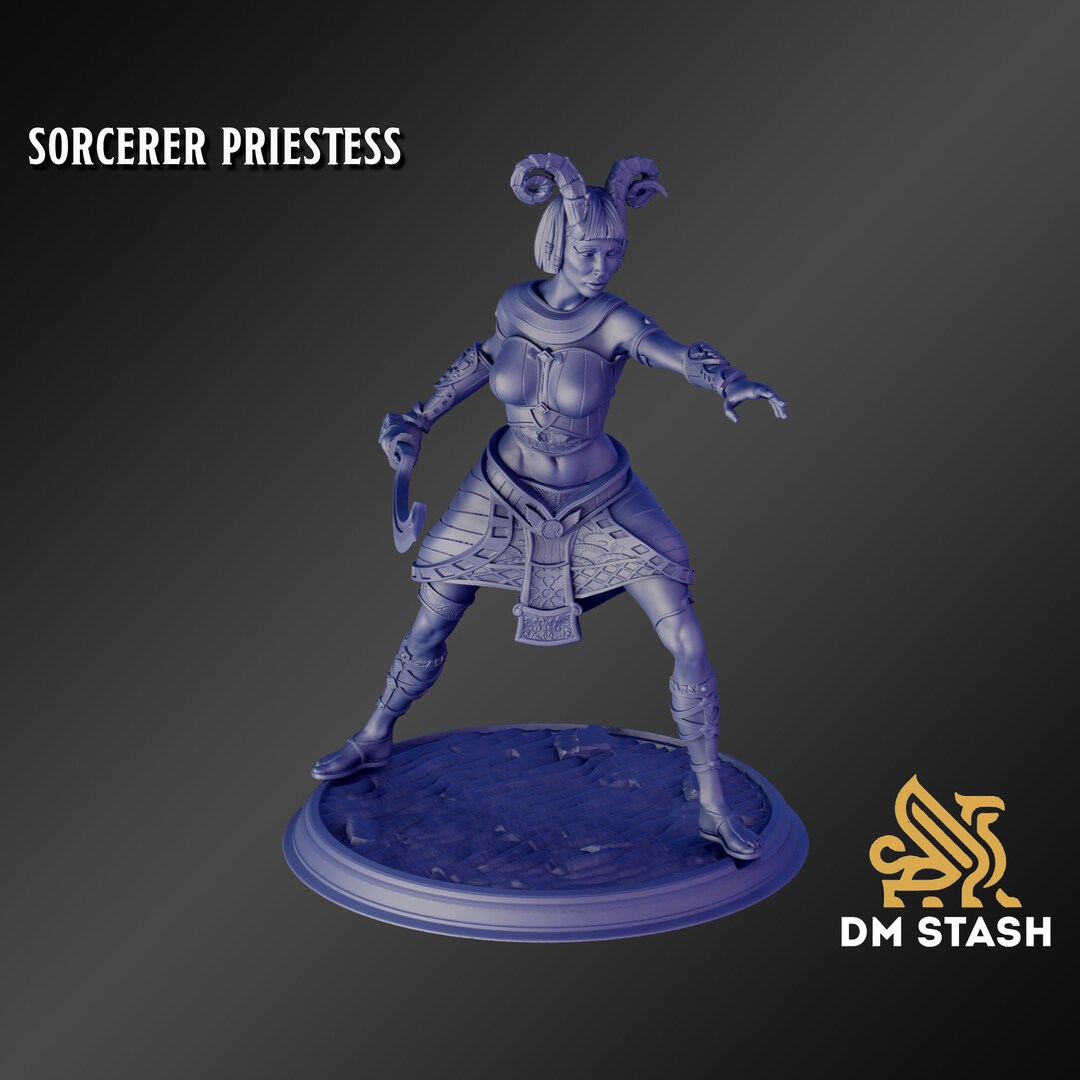 Dnd Miniature Sorcerer Priestess Miniature for Dungeons and Dragons ...