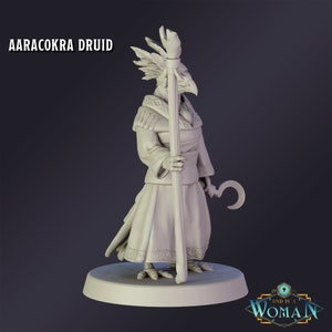 Dnd Miniature Aarakocra Druid Miniature for Dungeons and Dragons ...