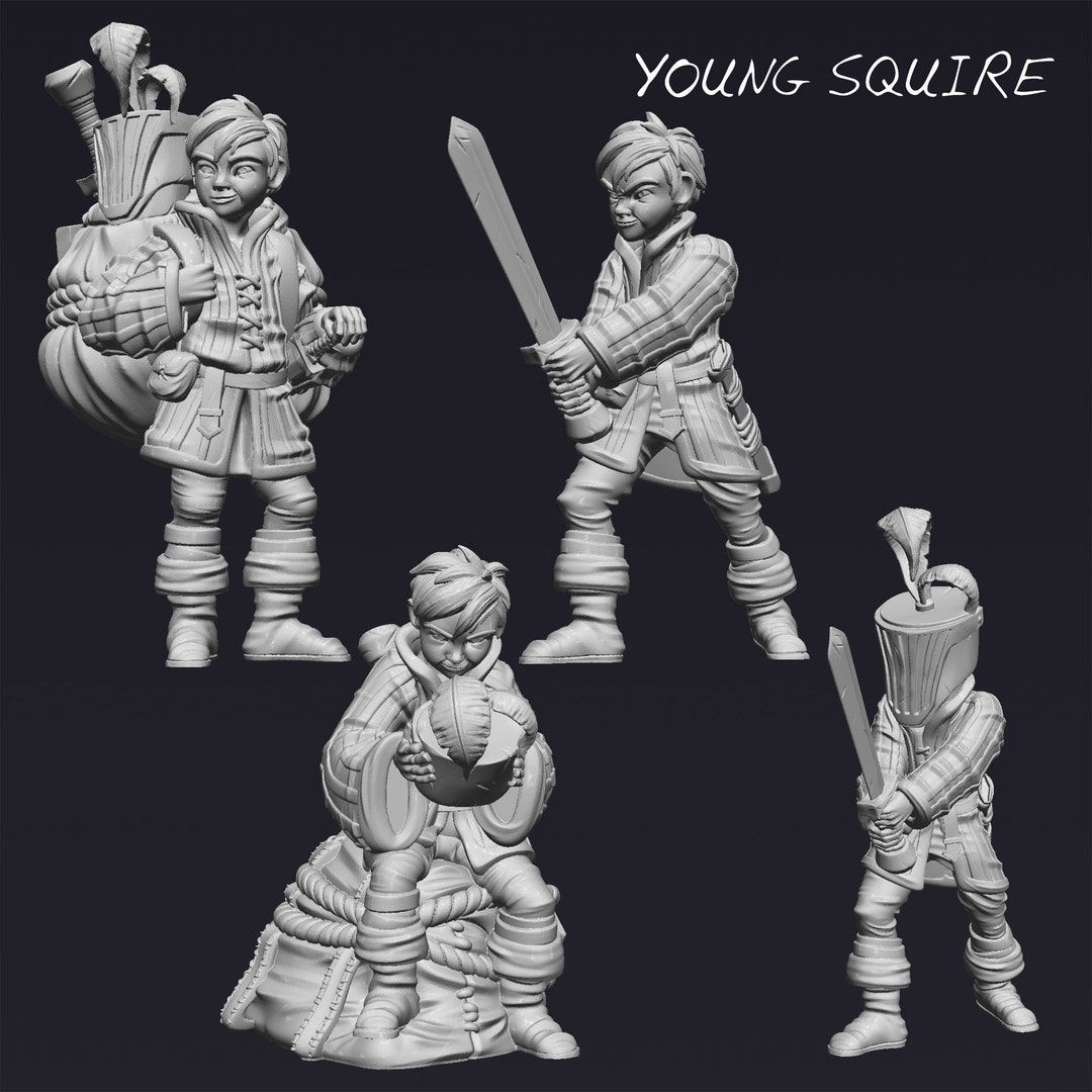 Dnd Miniature Young Squire Miniature for Dungeons and Dragons Tabletop ...