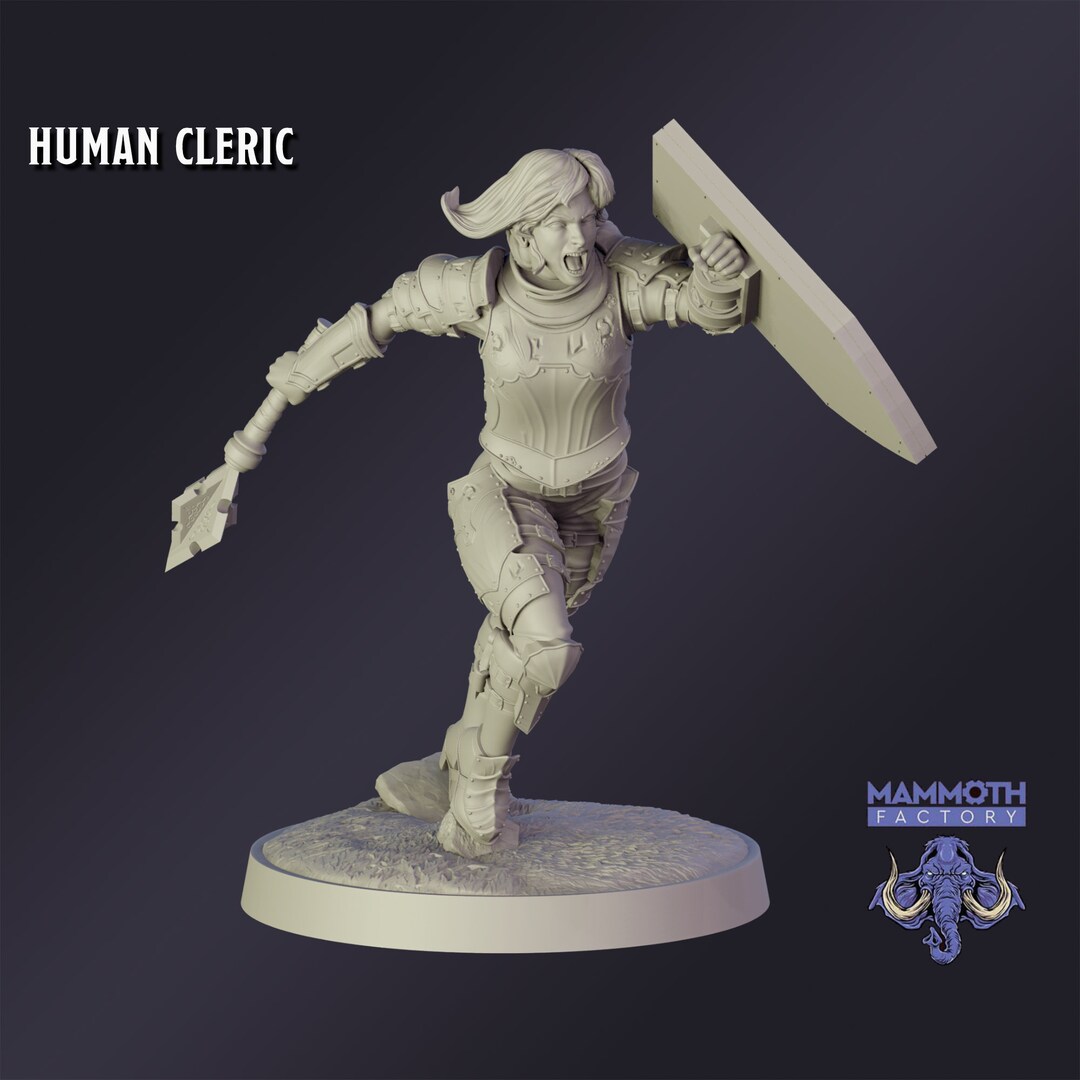 Dnd Miniature Human Cleric Miniature for Dungeons and Dragons Tabletop ...