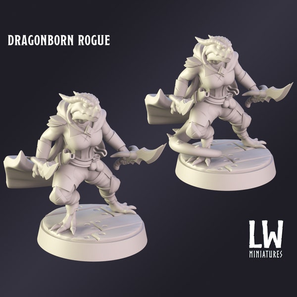 Dragonborn Rogue Miniature - Etsy