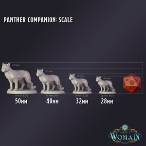 Dnd Miniature Panther Companion Miniature for Dungeons and Dragons ...