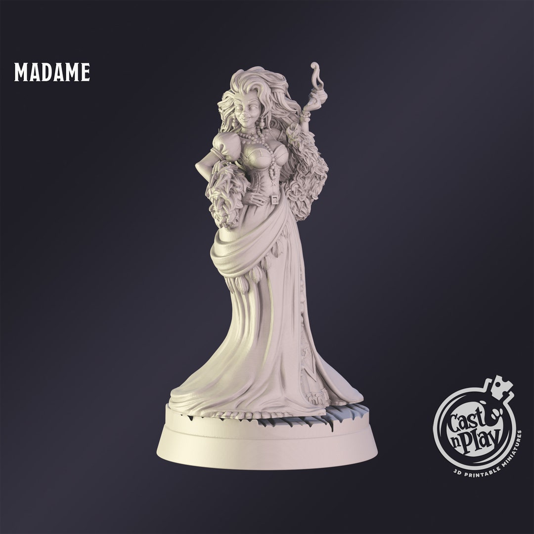 Dnd Miniature Madame Miniature for Dungeons and Dragons Tabletop RPG ...