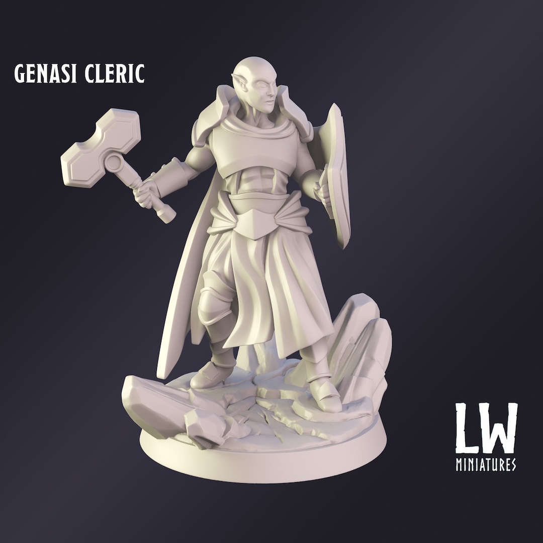 Dnd Miniature Genasi Cleric Miniature for Dungeons and Dragons Tabletop ...