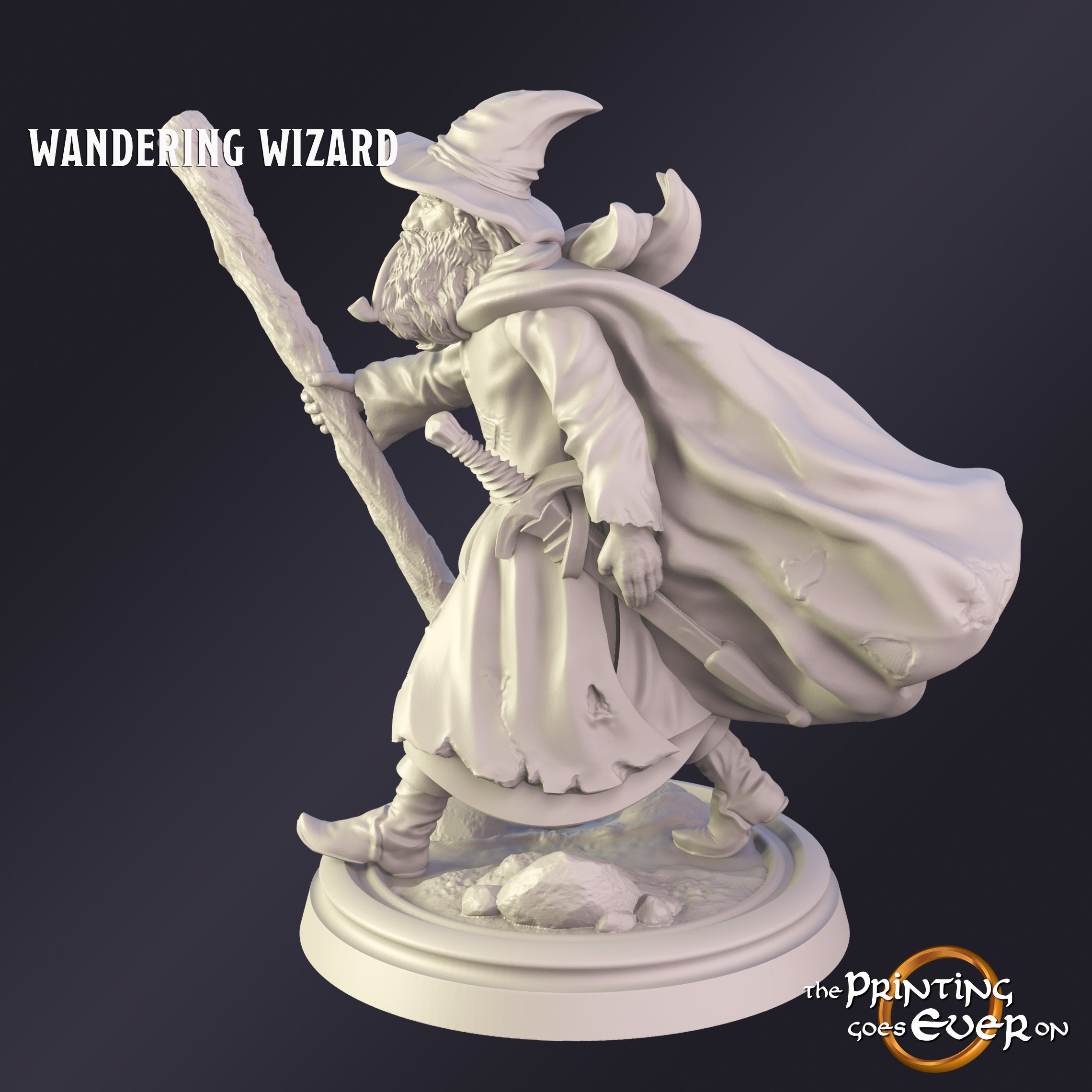 Wandering Wizard Tabletop Game miniature from The Printing Goes Ever On ...
