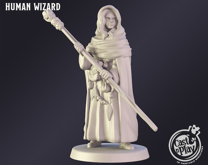 Dnd Miniature Human Wizard Miniature for Dungeons and Dragons Tabletop ...