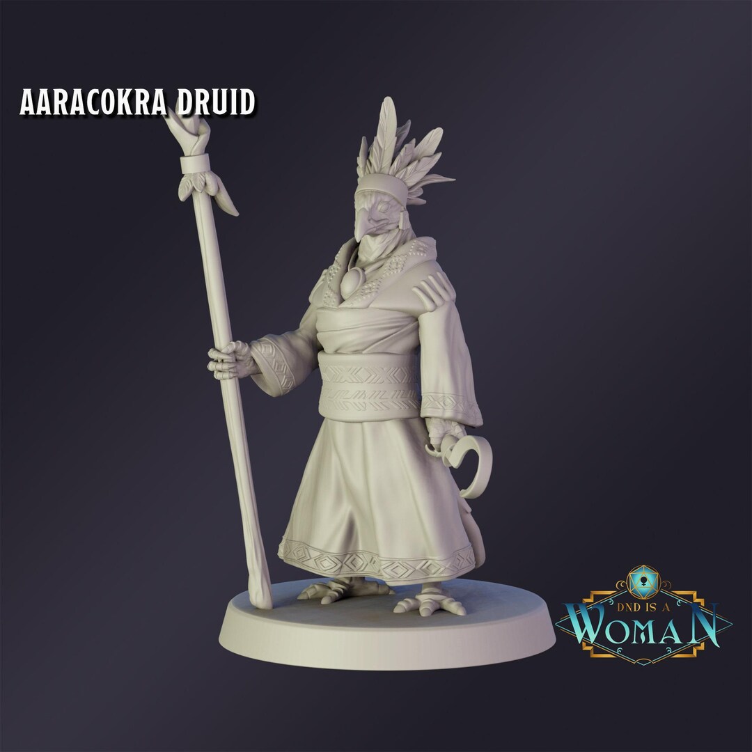 Dnd Miniature Aarakocra Druid Miniature for Dungeons and Dragons ...