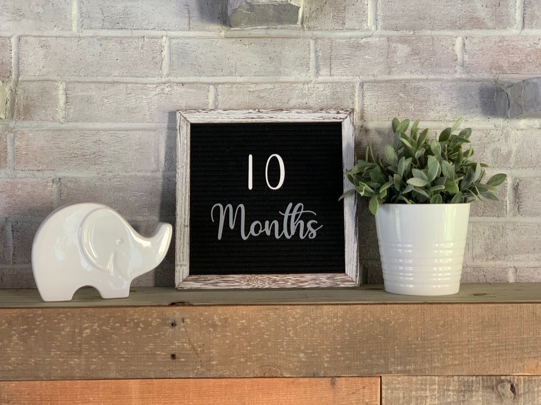 Months Milestone- Milestone Letter Board Icons - Baby Letter Board - Etsy