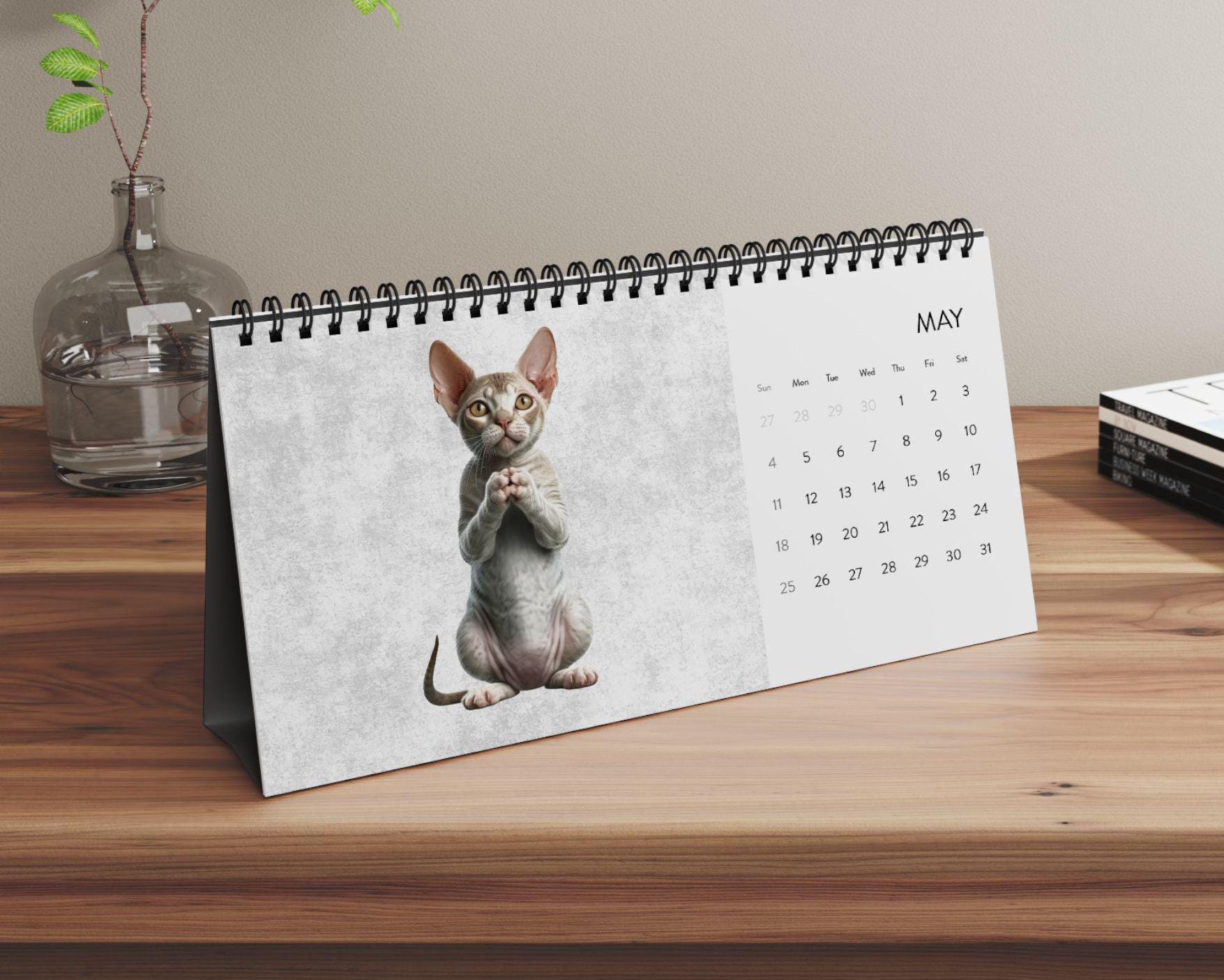 2025 Funny Cats Desktop Calendar, Cute Cat Office Decor, Gift for Cat ...