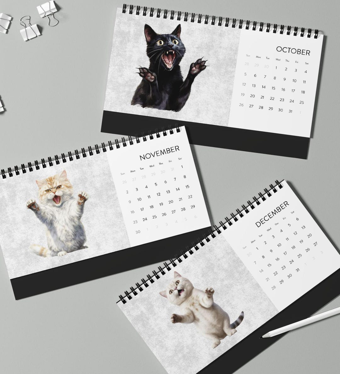 2025 Funny Cats Desktop Calendar, Cute Cat Office Decor, Gift for Cat ...