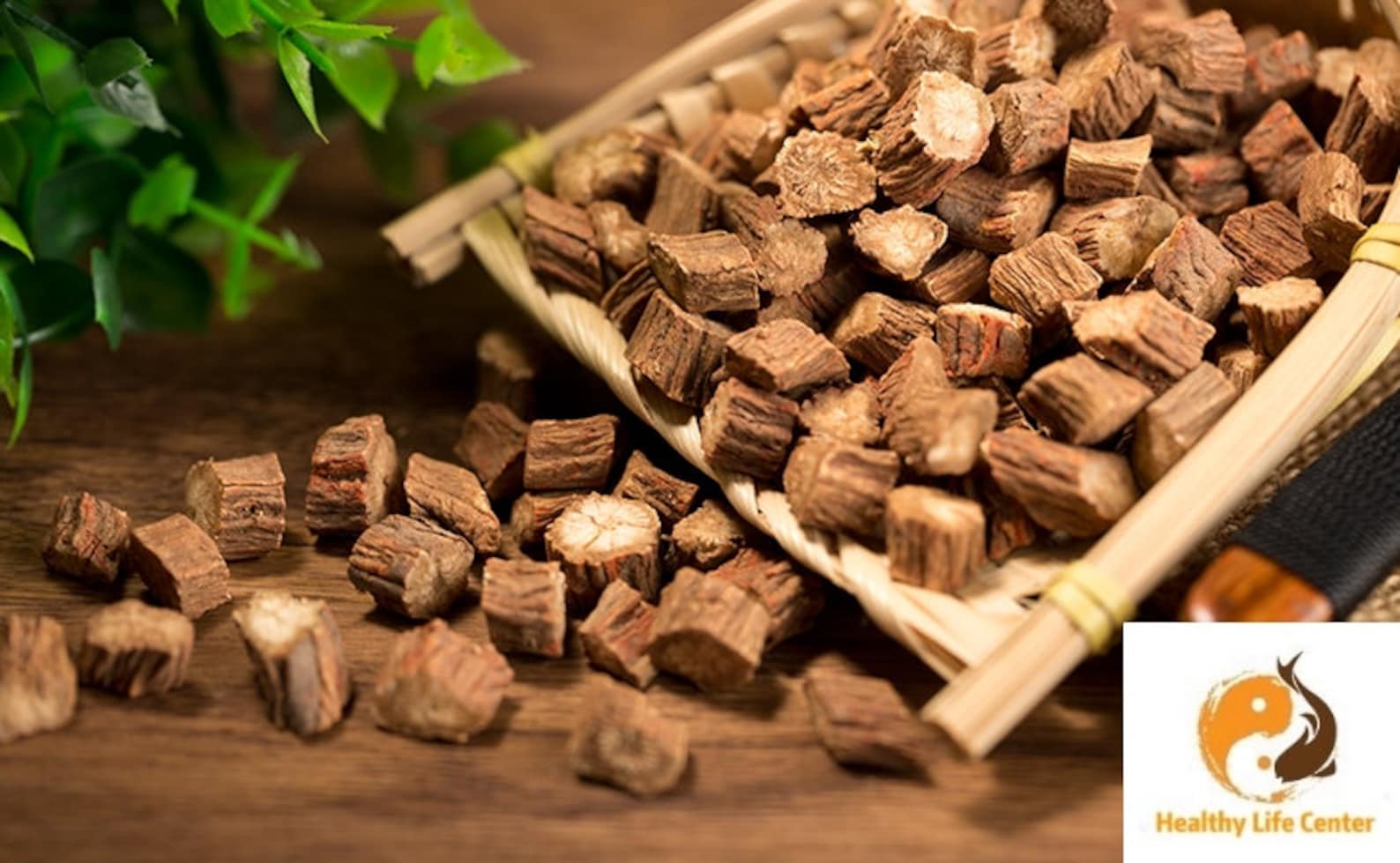 Dan Shen Powder /丹参粉/high Quality/ Red Sage Root Powder - Salvia ...