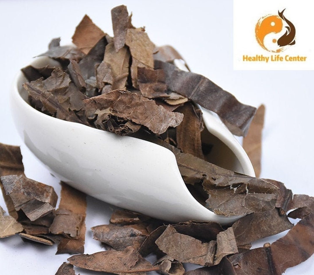 Pi Paye /枇杷叶/ 비파엽 / High Quality / Loquat Leaf /eriobotrya - Etsy