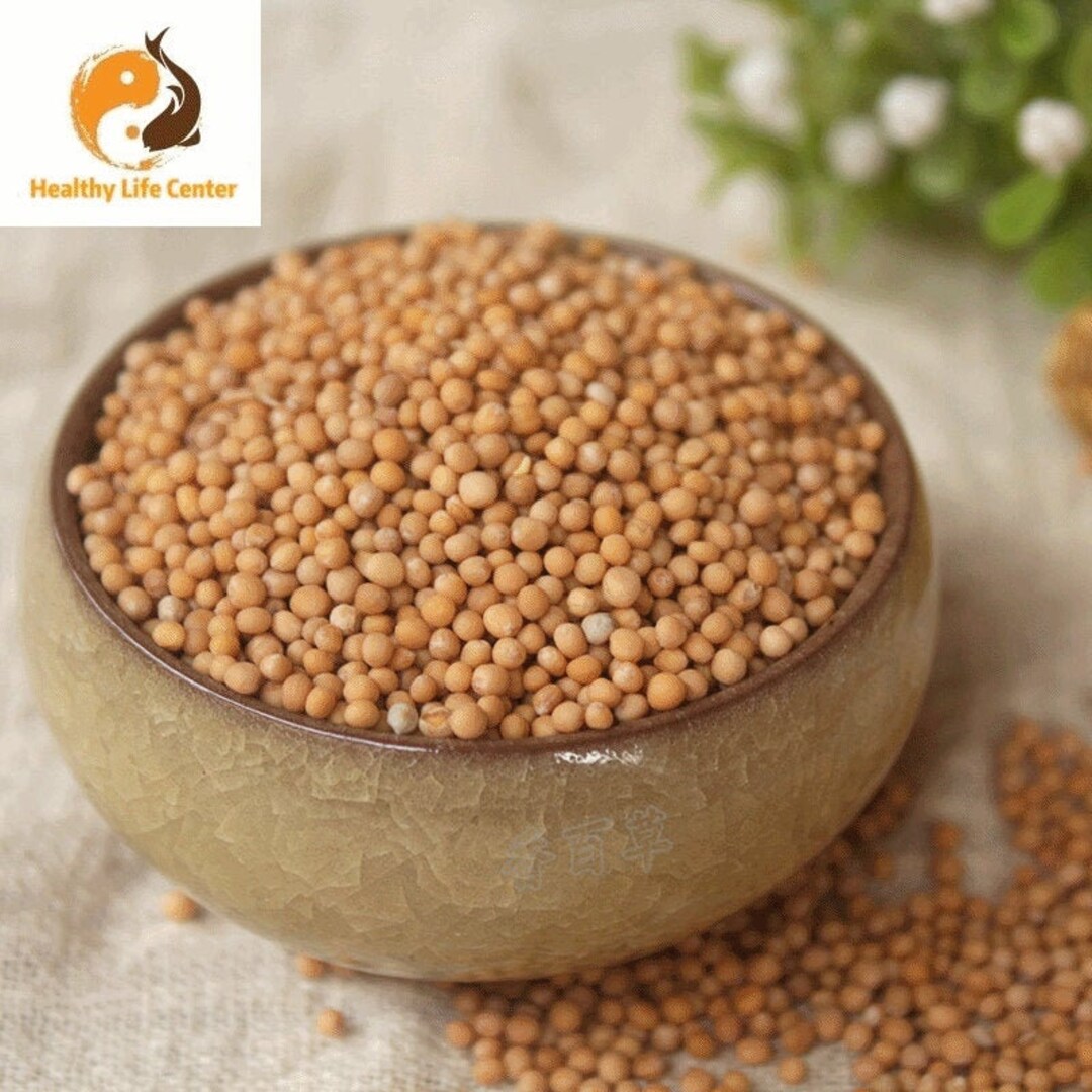 Bai Jie Zi /白芥/ Mostaza Blanca/Semen sinapis 1lb - Etsy España