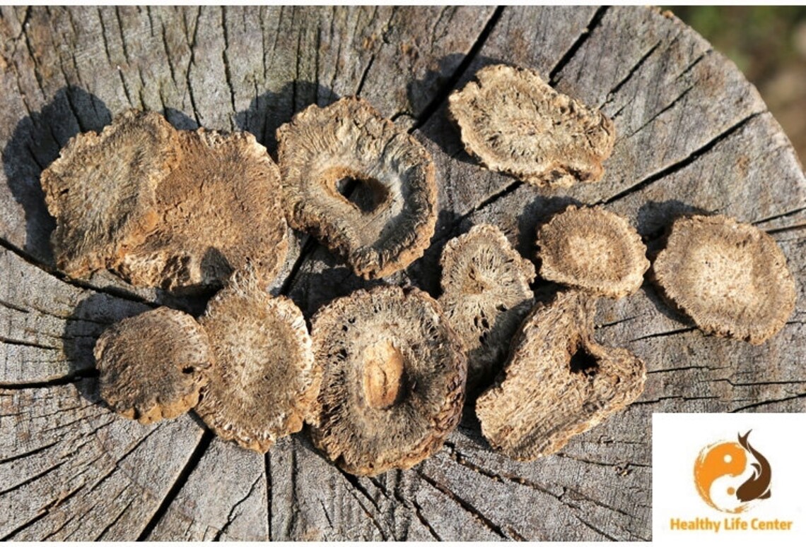 Mu Xiang /木香/ High Quality /Radix Aucklandiae Costustoot - Etsy.de