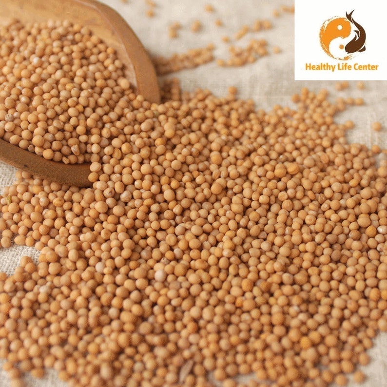 Bai Jie Zi /白芥子/ White Mustard/semen Sinapis 1lb - Etsy