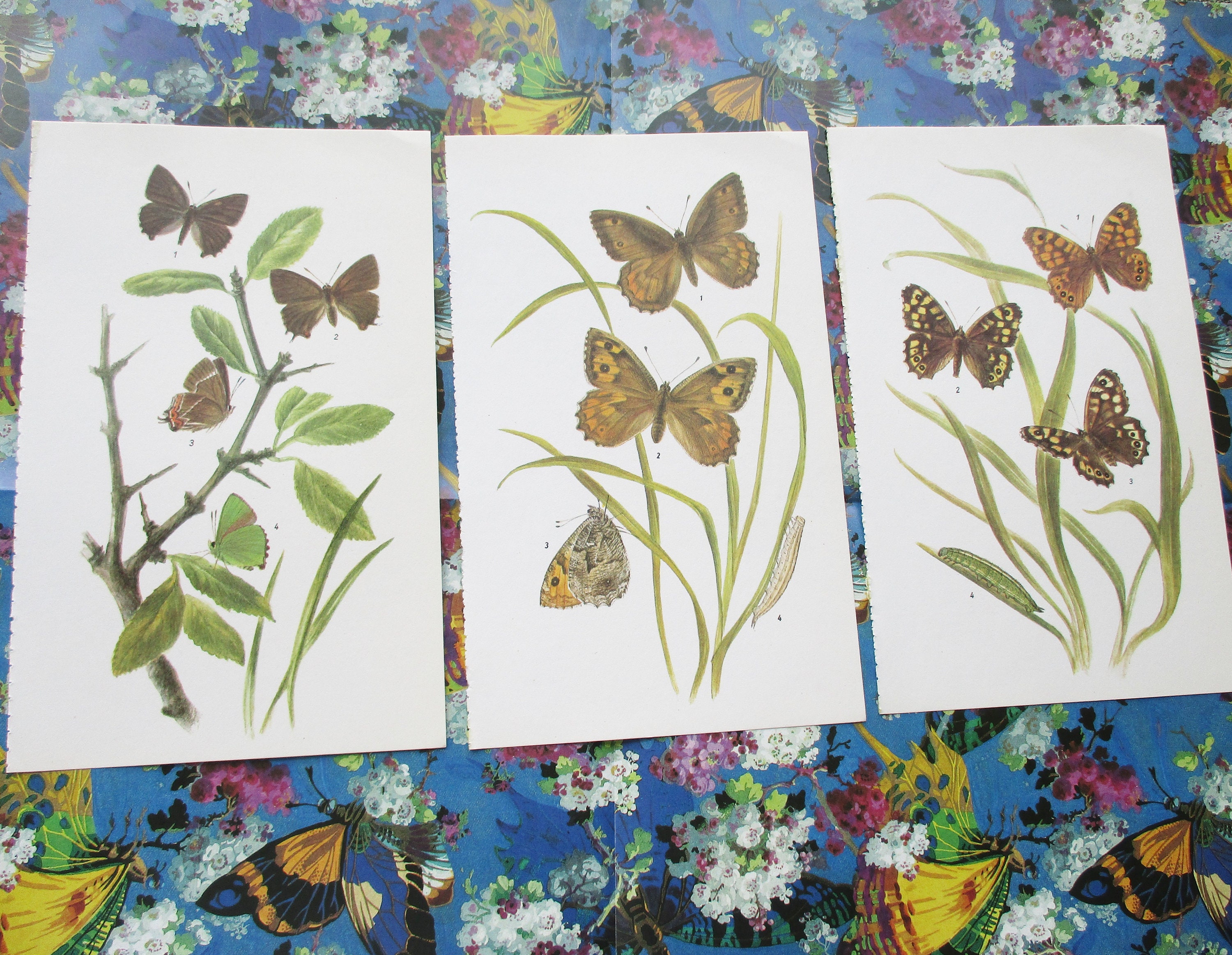 Flower and Butterfly Book Pages For Crafting Journalling | Etsy