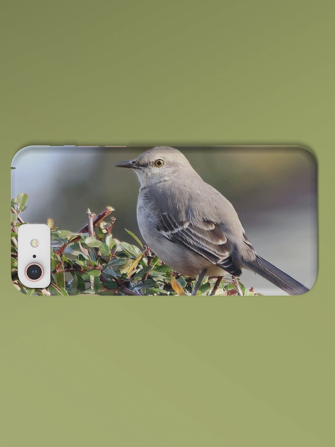 Showcase Your Love for Birds With This Stylish iPhone Case, Wildlife ...