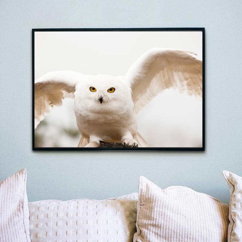 Hedwig Poster - Etsy