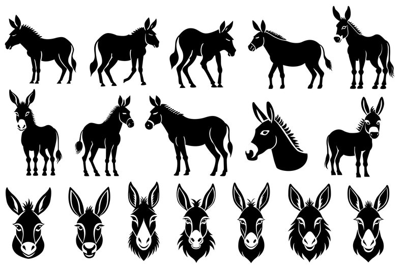 Donkey Silhouette SVG Bundle: Vector Illustrations (digital Download ...