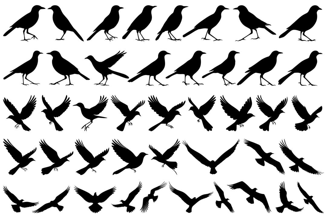 Bird SVG Bundle, Birds SVG, Birds PNG, Bird Silhouettes, Bird Clipart ...