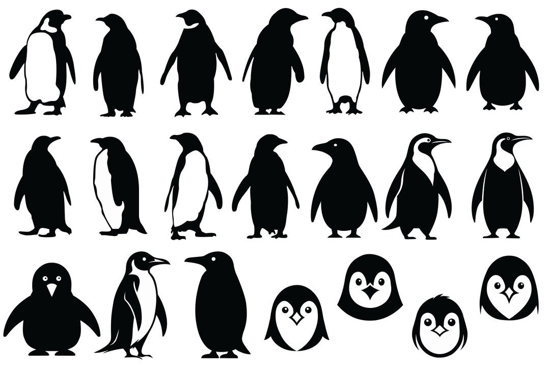 Penguin Silhouette, Penguin SVG Bundle, Penguin Clipart Bundle, Penguin ...